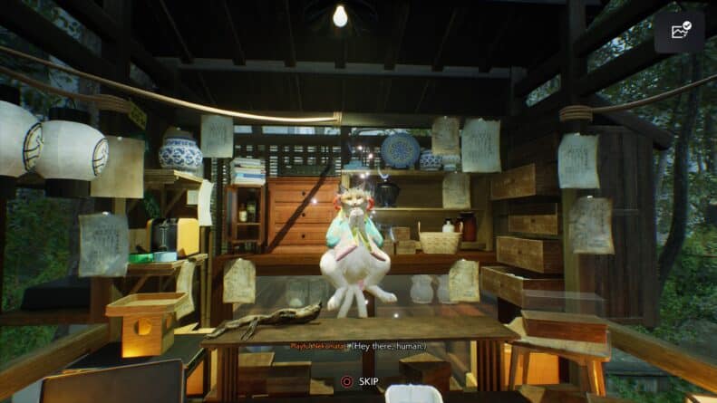 Ghostwire Tokyo - All Playful Nekomata Relic Request Locations